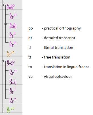 Selecting the tier types for transcription